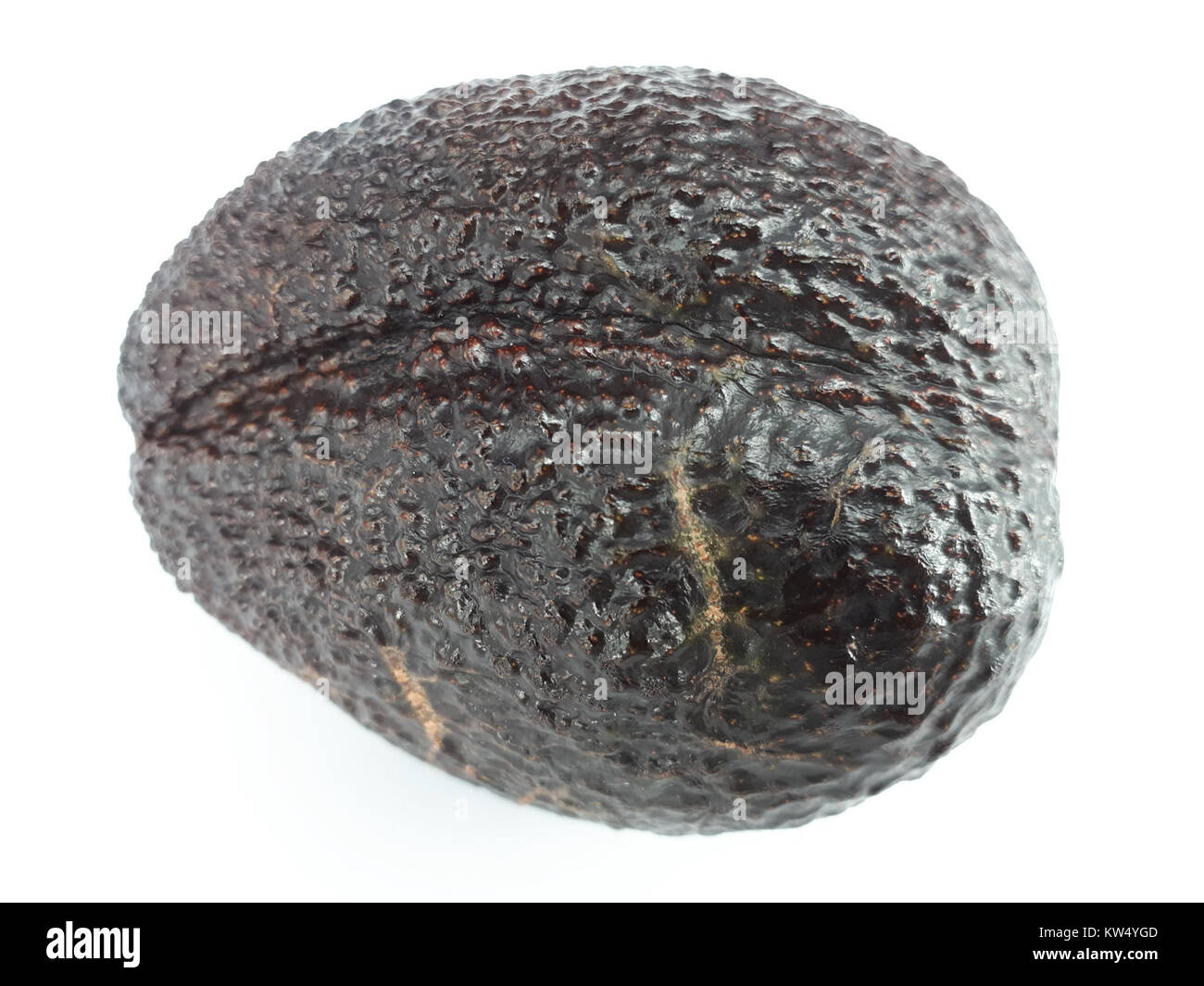 The bilobed avocado is a variation of the common avocado, characterized ...