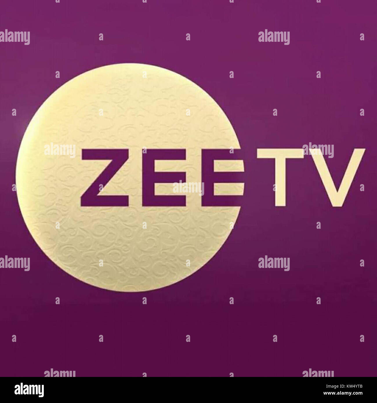 The Zee TV Russia logo represents the brand identity of the Zee TV ...