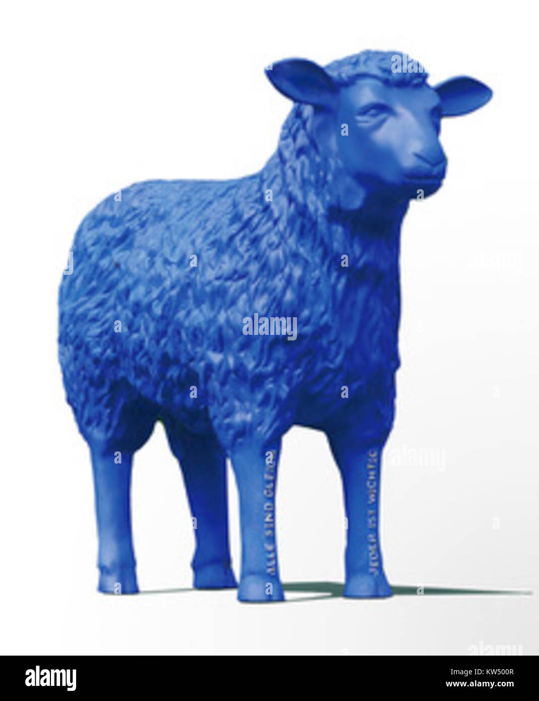 Image of a Blauschaf, a breed of sheep known for its blue-grey wool ...