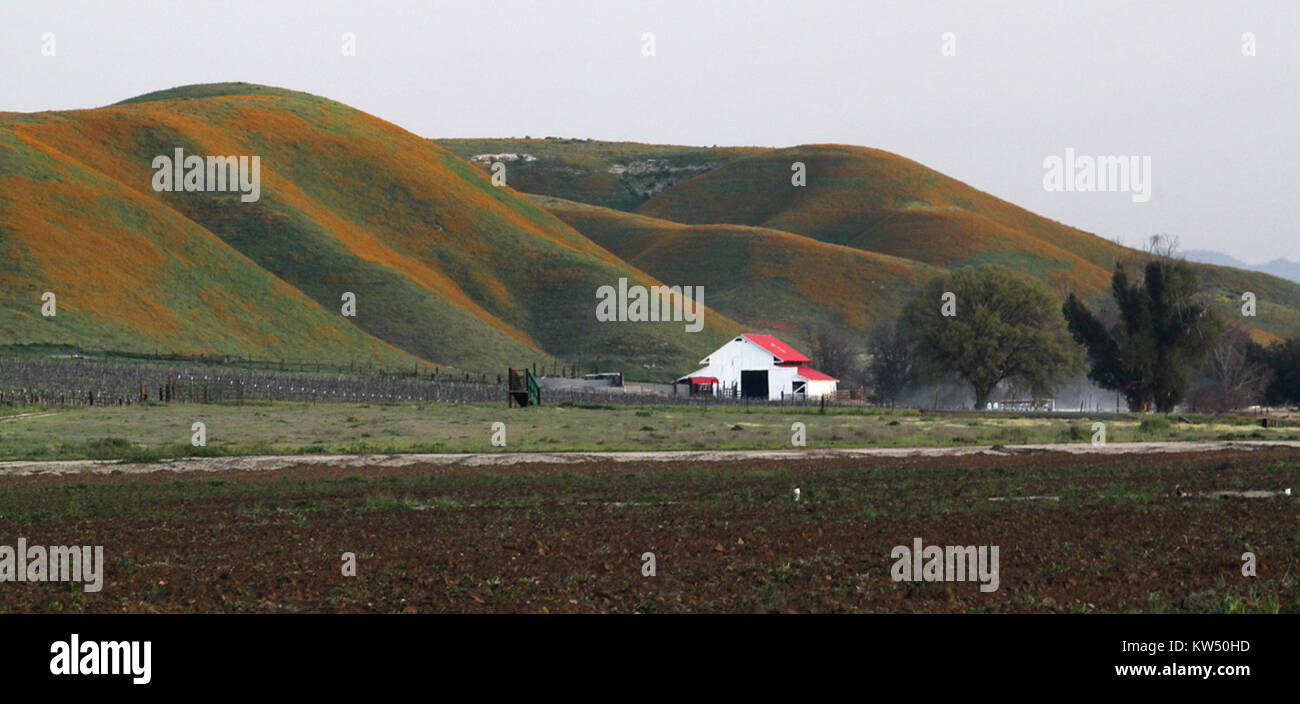 Bitterwater High Resolution Stock Photography and Images - Alamy