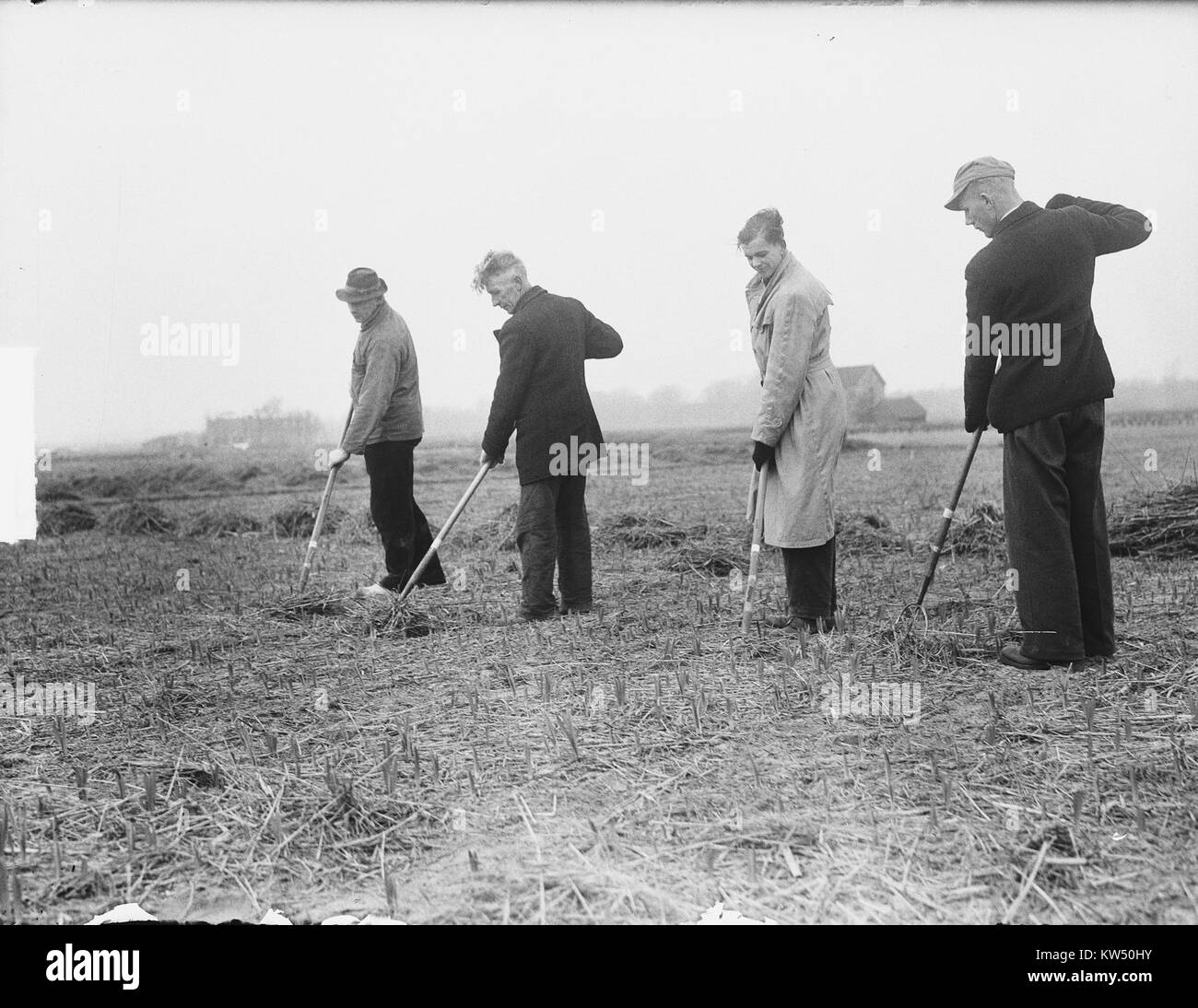 Part of a flower Black and White Stock Photos & Images - Alamy