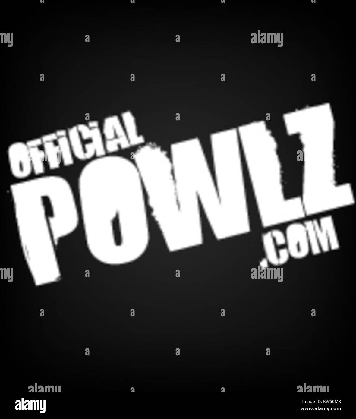 The Powlz logo represents the brand's identity with a unique and modern ...