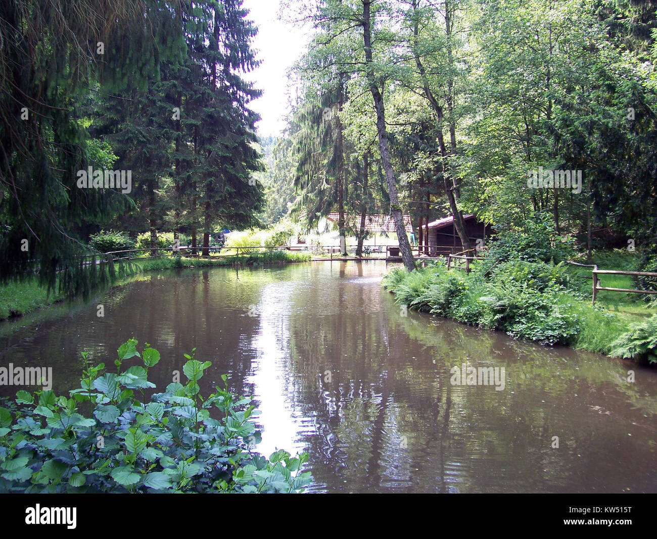 Bierbach hi-res stock photography and images - Alamy