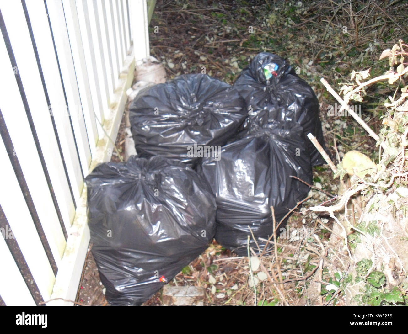 Nba history hi-res stock photography and images - Alamy