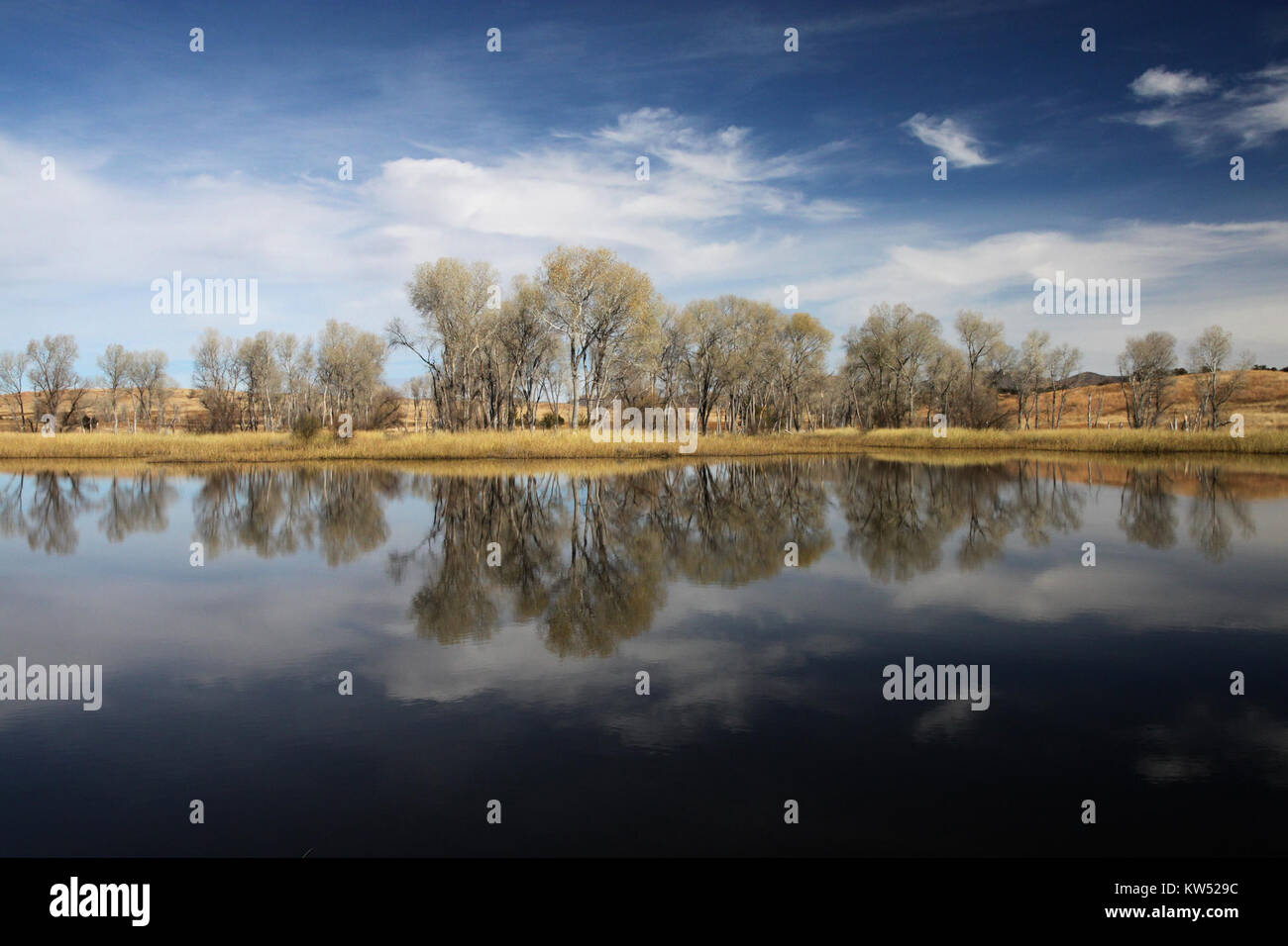 Bog hole hi-res stock photography and images - Alamy