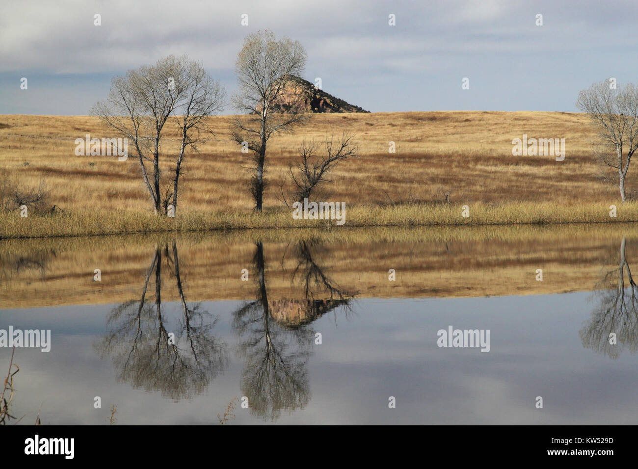 The Bog Hole Area, located southeast of Patagonia, Arizona, is a unique ...