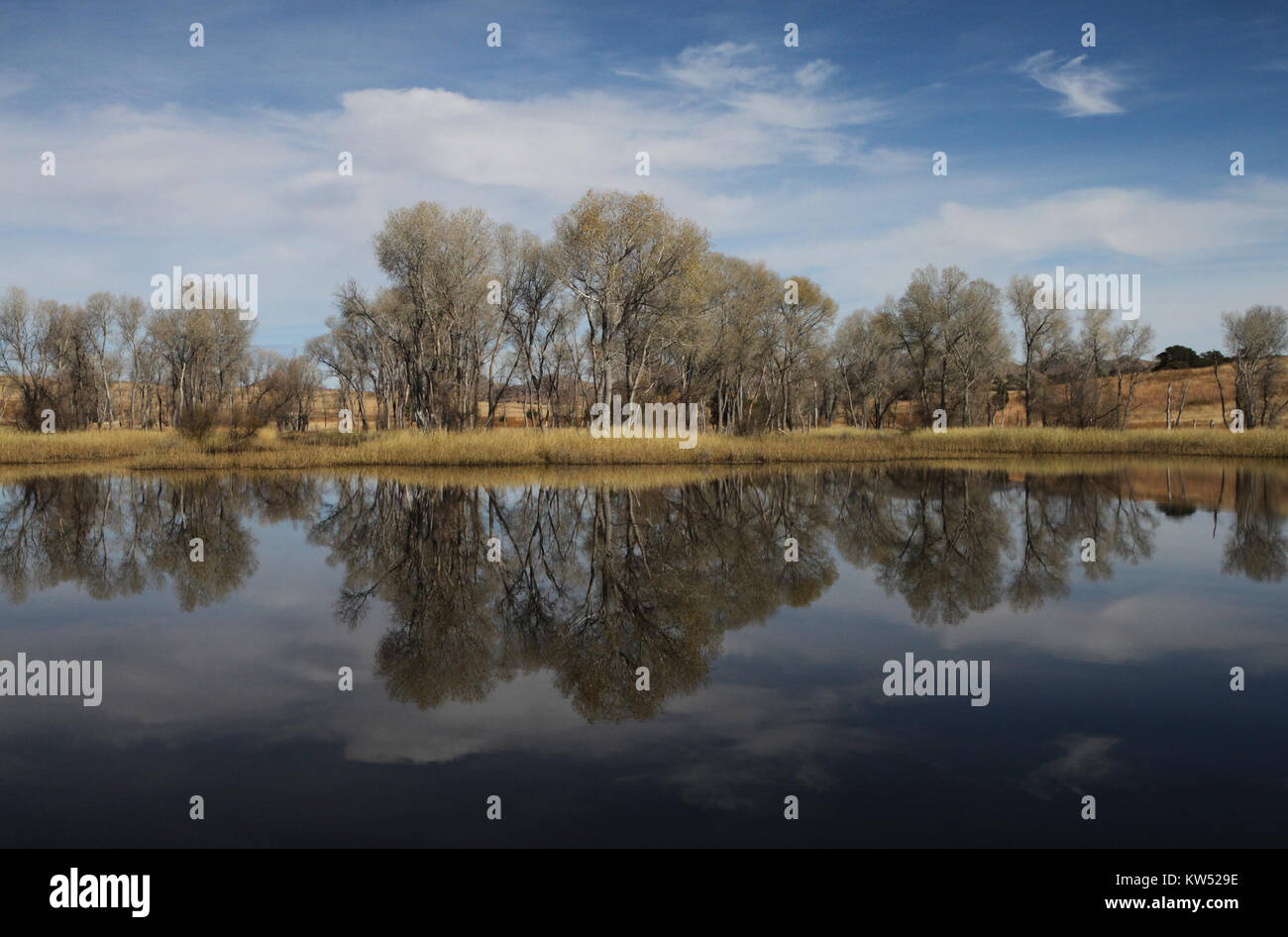 This image depicts the Bog Hole area, located southeast of Patagonia ...