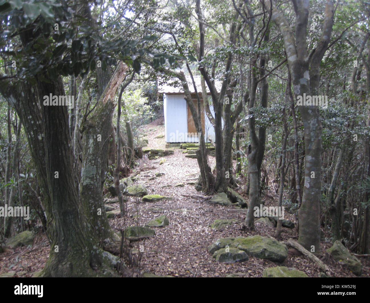 This title appears to refer to an image or specific location identified as 'enohama57585 ...