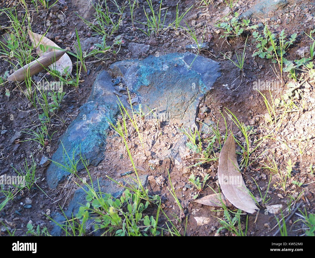 Blue rock from Berkeley hills Stock Photo - Alamy