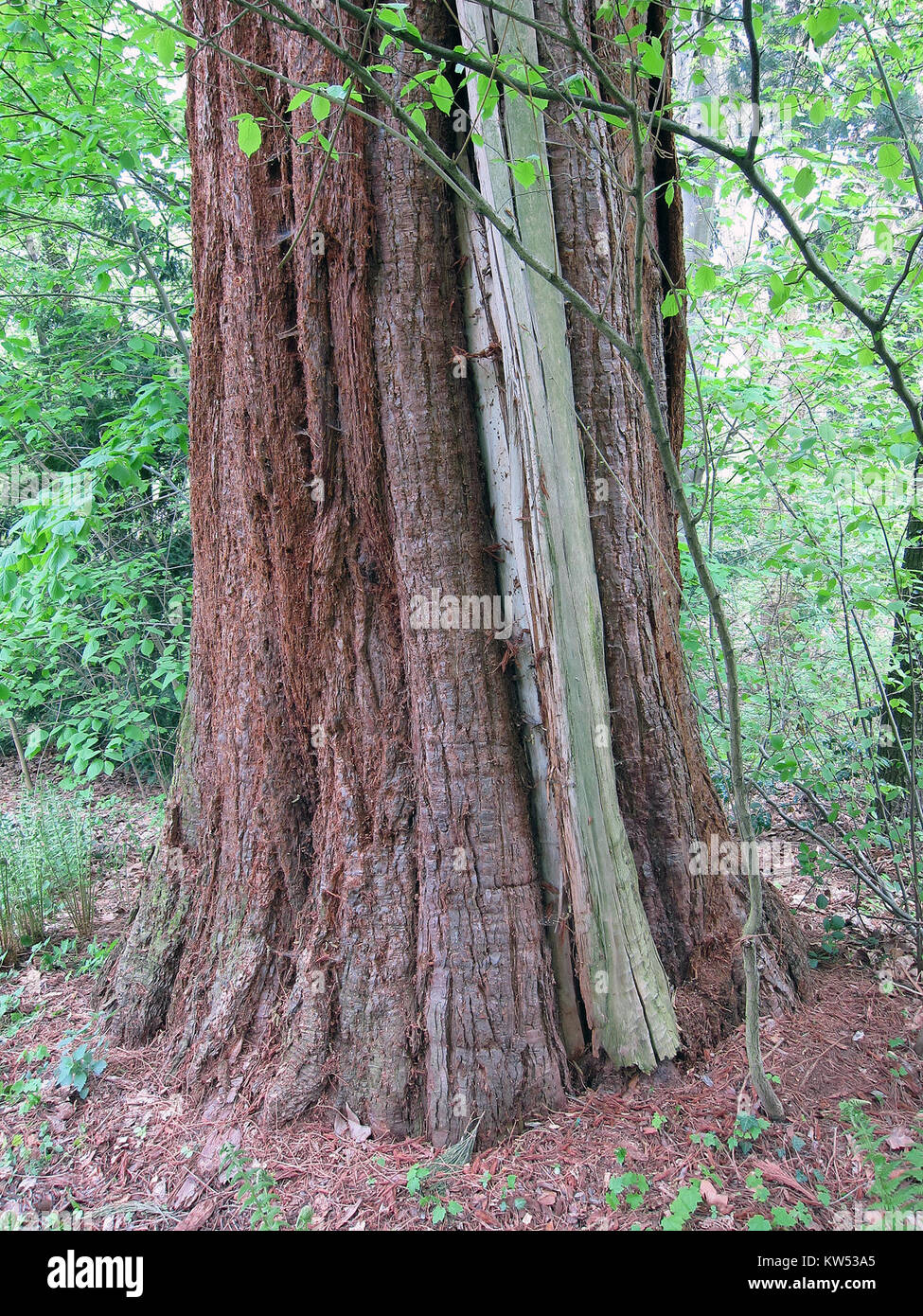 BM Wasserlos, 1 Stock Photo - Alamy
