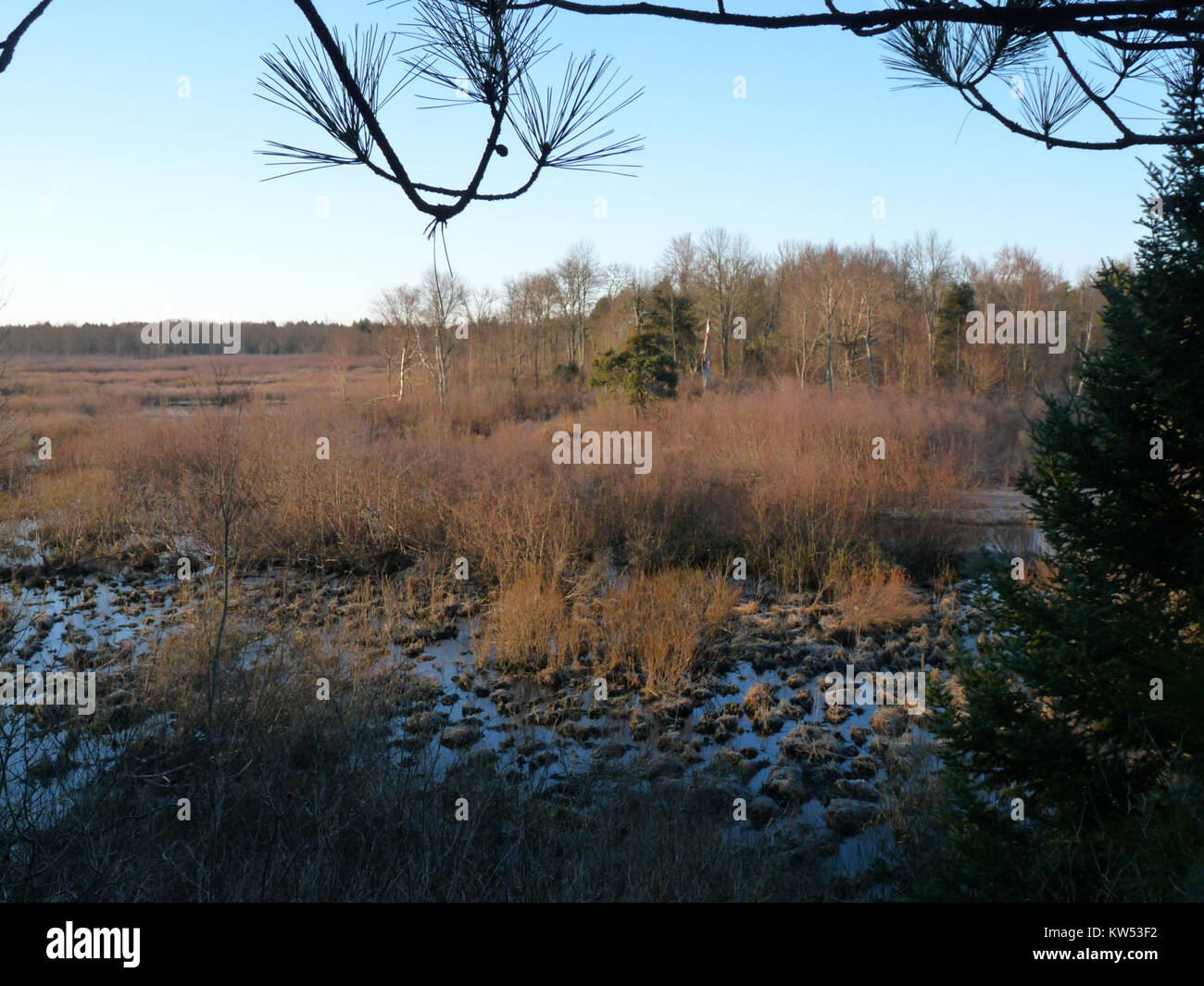 Big Indian Farms Marshes is a natural wetland area located in the Big ...