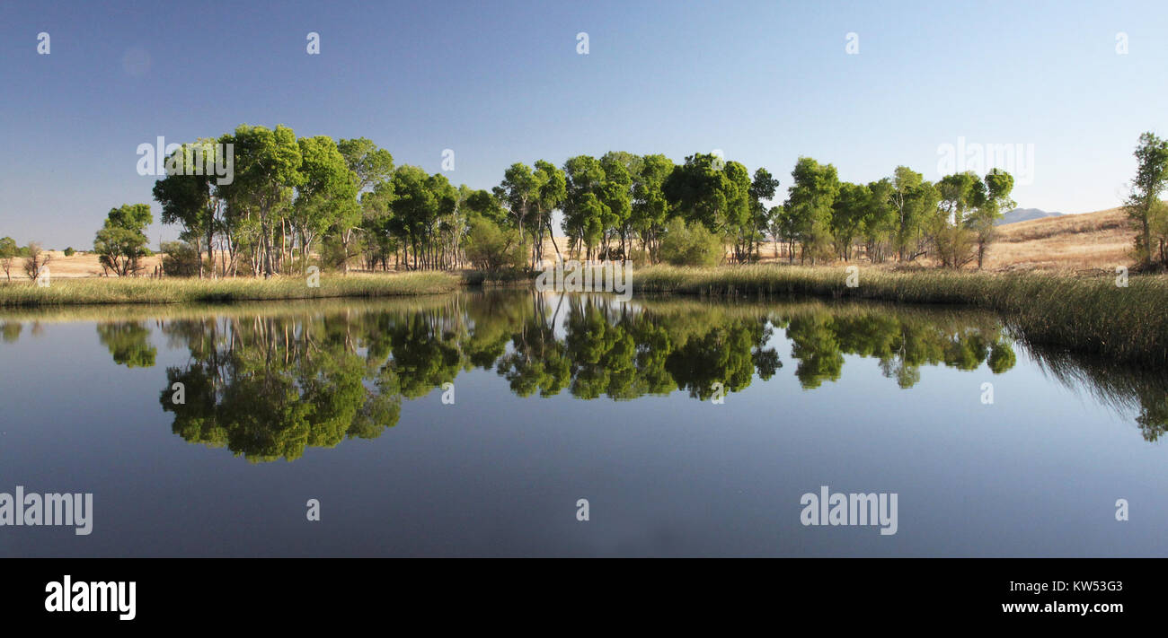 The BOG Hole Area, located southeast of Patagonia, Arizona, is a unique ...