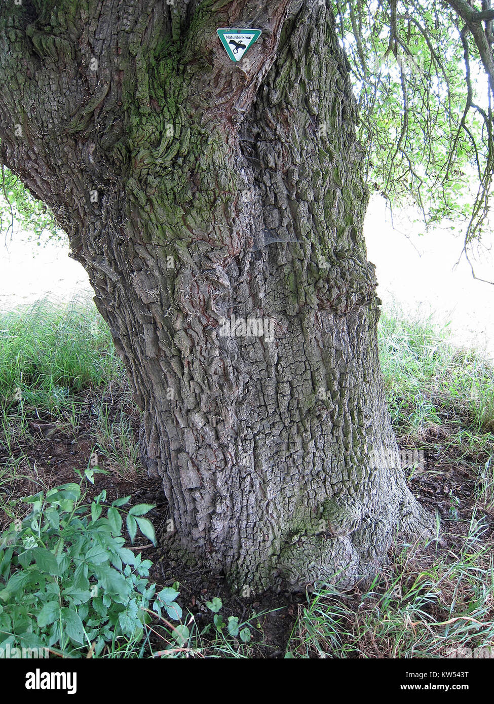 German variety hi-res stock photography and images - Alamy