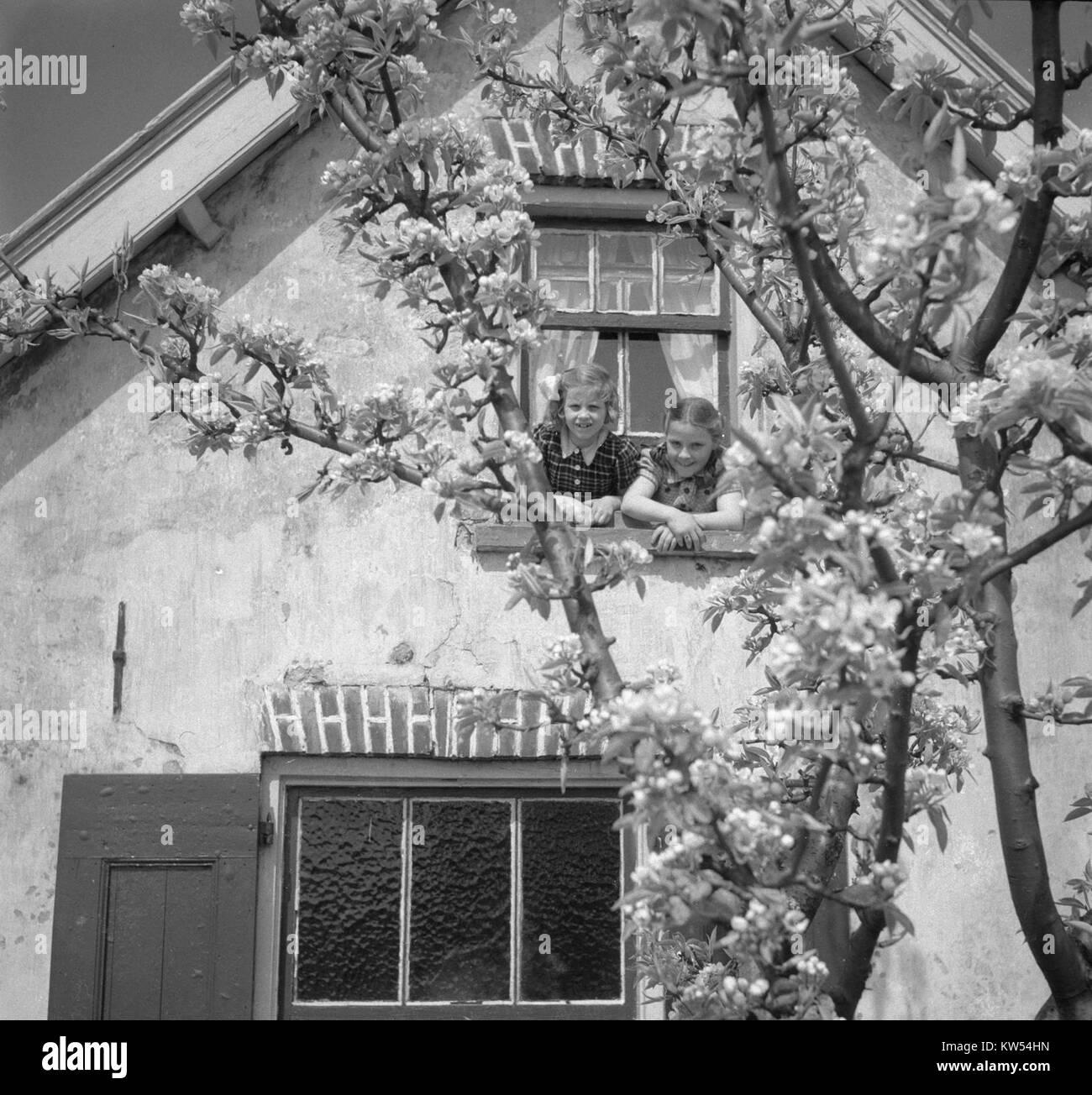 Fruit growing trees flowering Black and White Stock Photos & Images - Alamy
