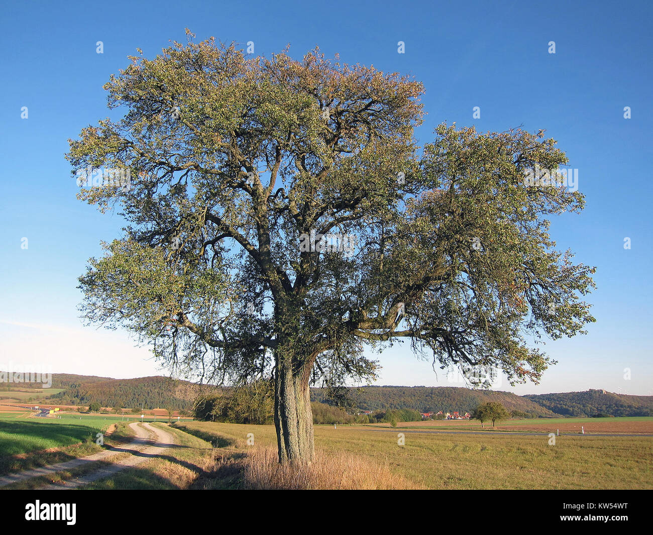 Karsbach hi-res stock photography and images - Alamy