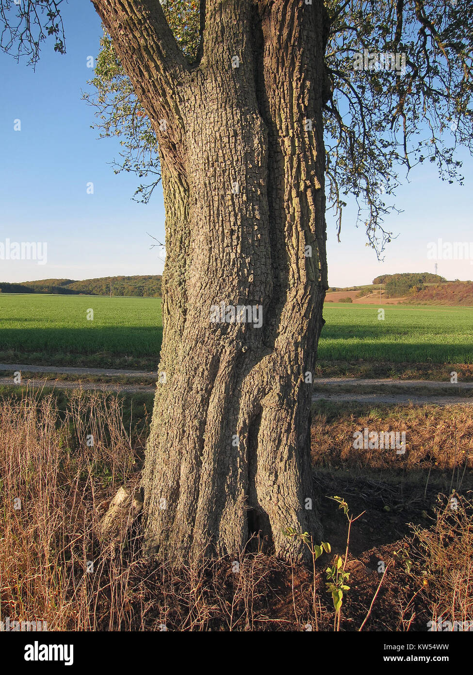 Karsbach hi-res stock photography and images - Alamy