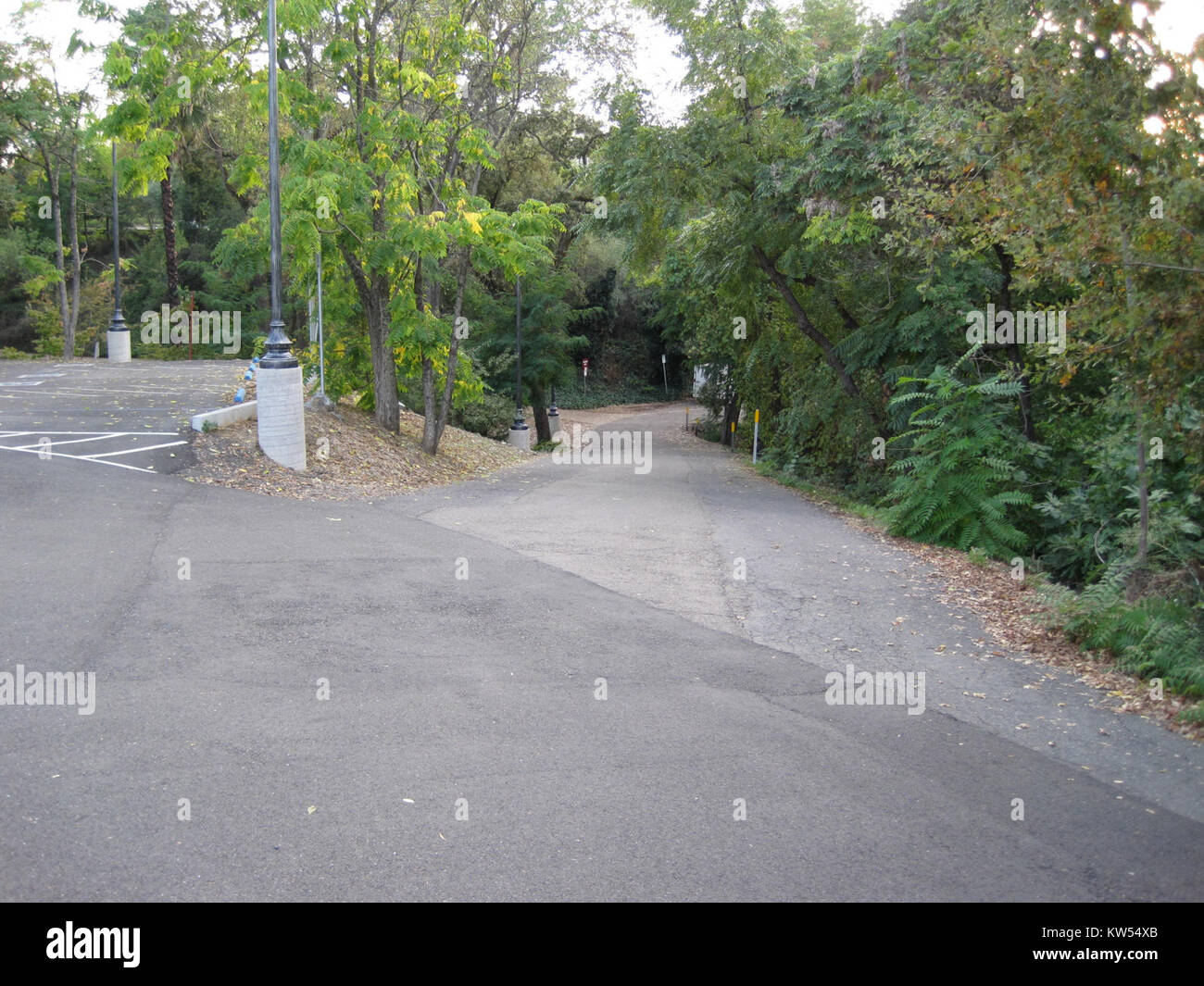 The Bicentennial Park parking approach is a key access point for ...