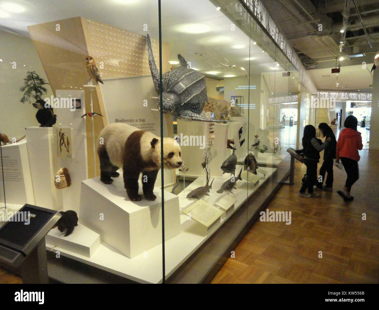 Biodiversity exhibit hi-res stock photography and images - Alamy