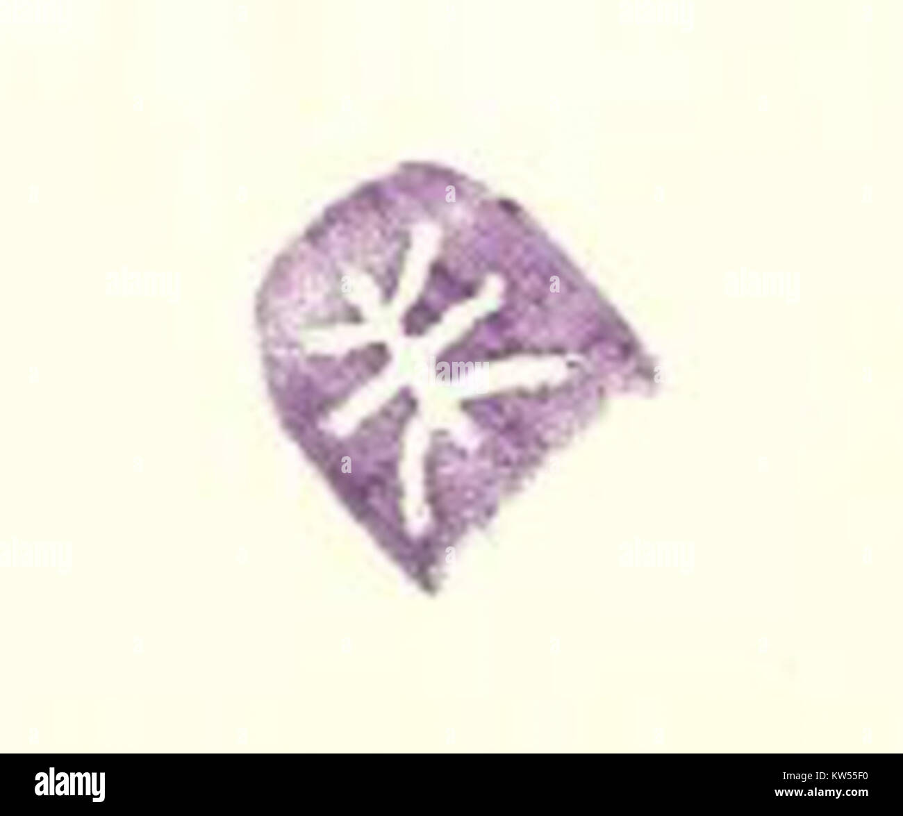 Sello ummita is a stamp or seal representing a specific culture or ...