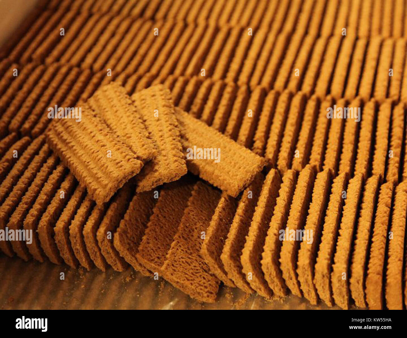 The Bicciolani are an Italian noble family, historically influential in ...