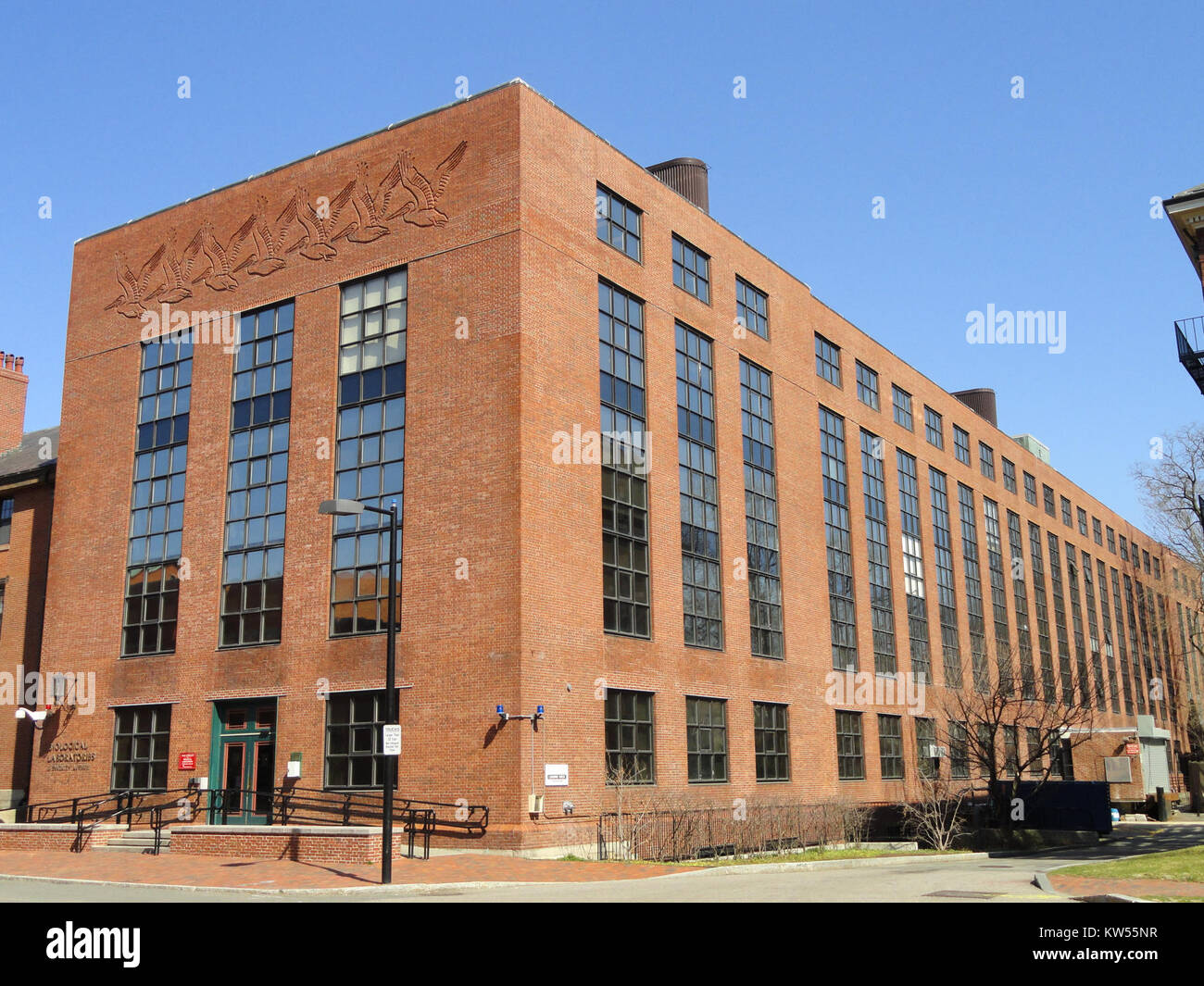 Biological laboratories hi-res stock photography and images - Alamy