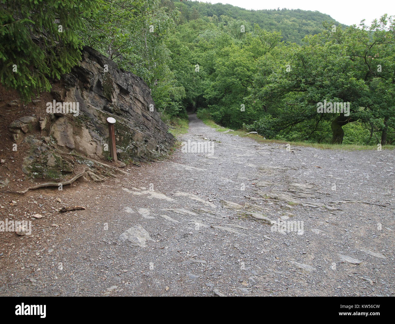 Bodetal, also known as the Bode Gorge, is a scenic river valley in the ...