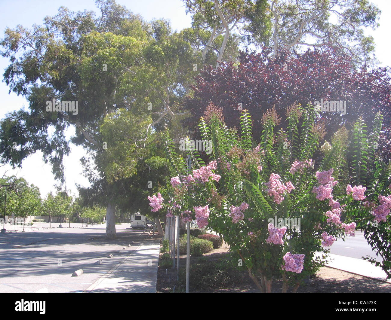Blossom Hill Caltrain station 1399 04 Stock Photo - Alamy