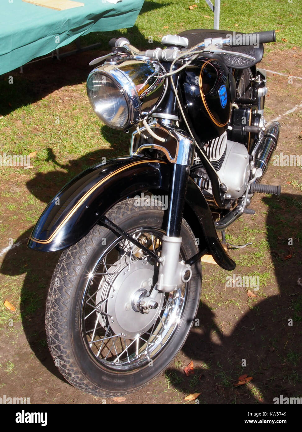 The Black Condor is a large bird of prey known for its impressive ...