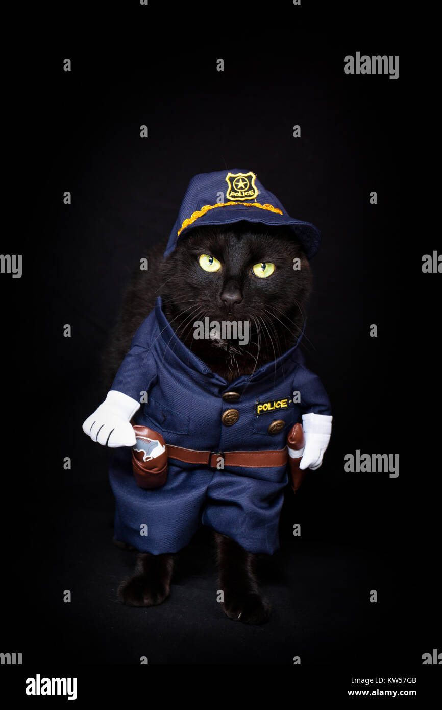 Cat policeman hi-res stock photography and images - Alamy