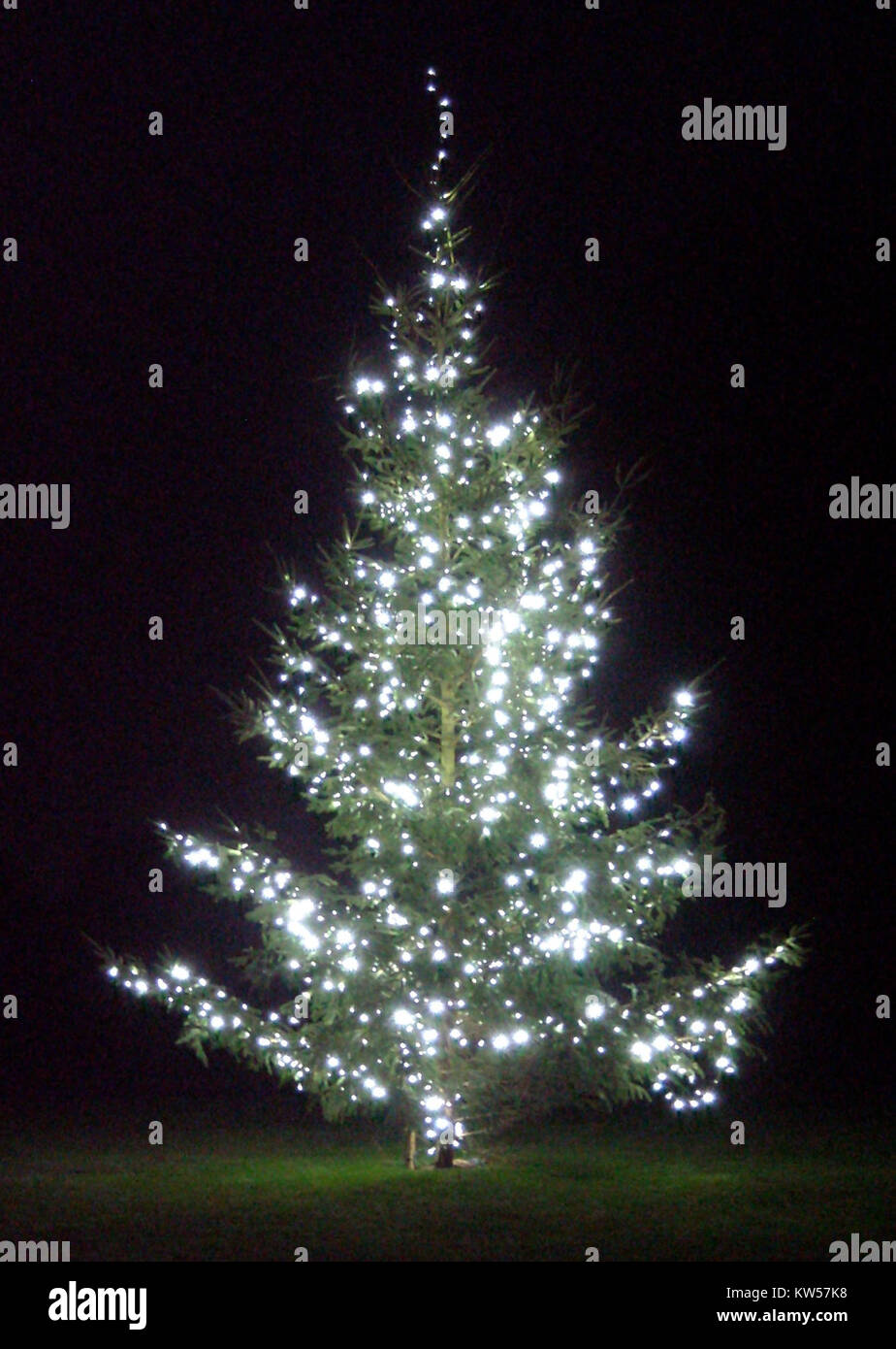 The Biddenham Christmas Tree is an annual tradition in the village of ...