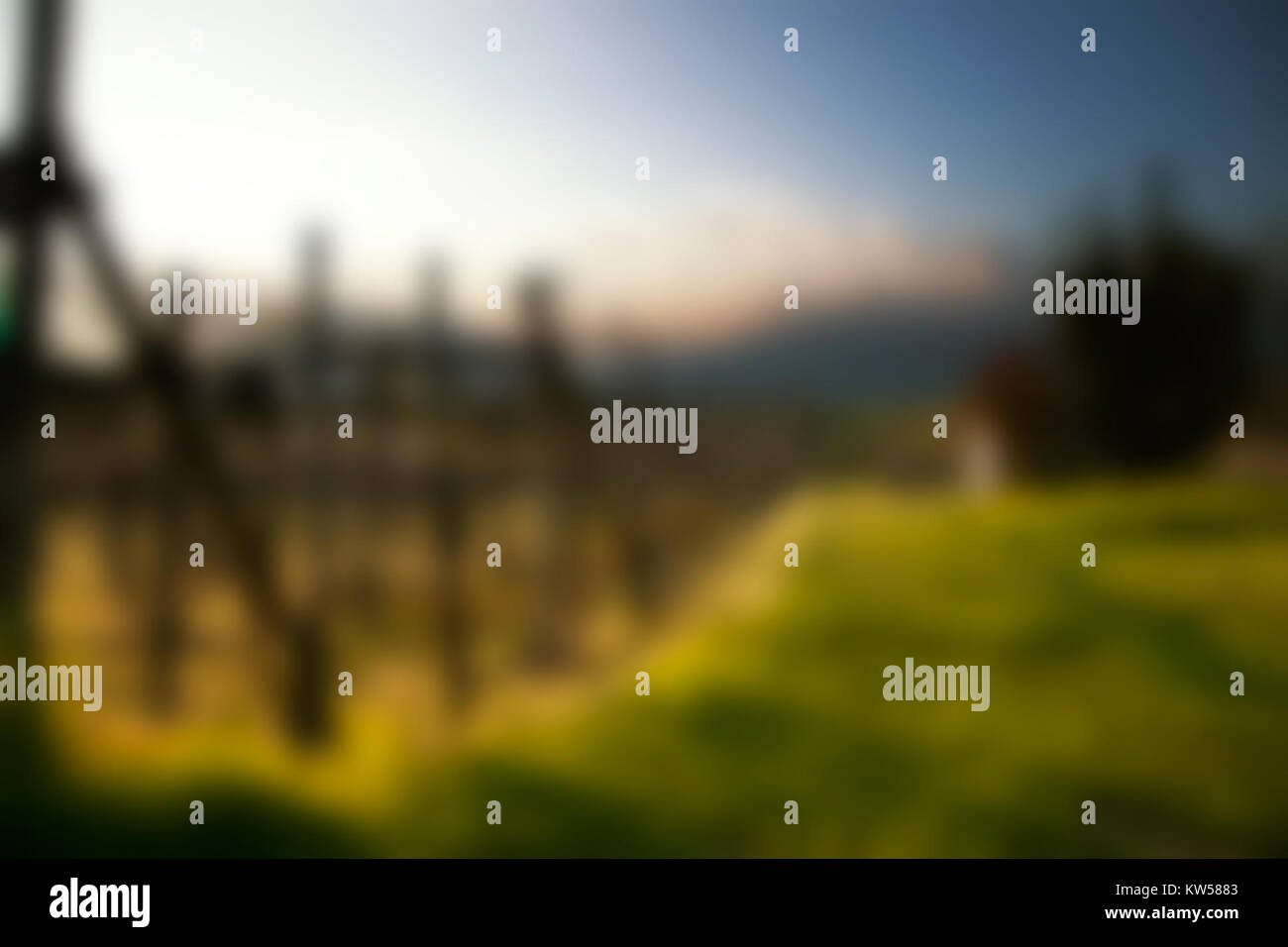 This image features a blurred background, often used in photography to ...