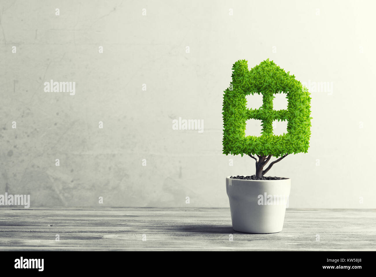 Green plant in pot shaped like house Stock Photo - Alamy