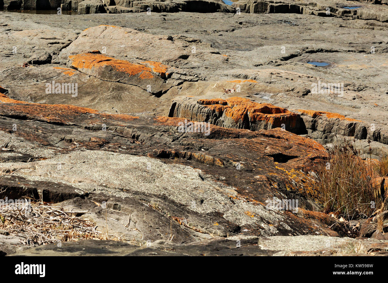 The Bluff rocks in Devonport, Tasmania, are a natural geological ...