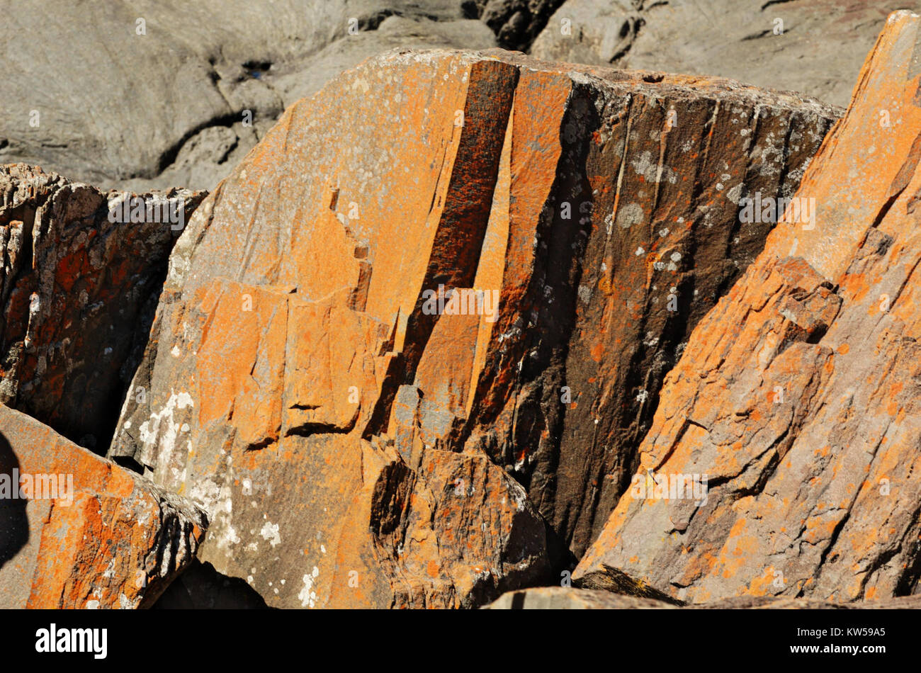 Bluff Rocks in Devonport, captured in a photograph from March 10, 2007 ...