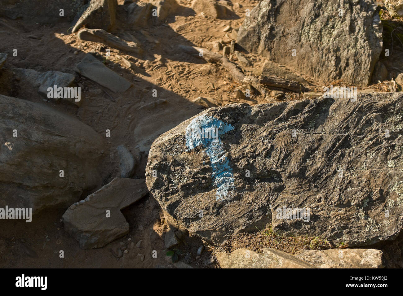 The Billy Goat A Trail Arrow Marker is a signpost along the Billy Goat ...