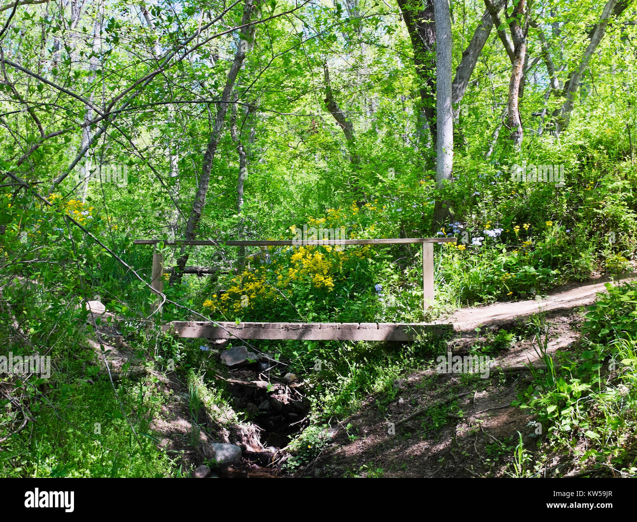 Billy Goat C Trail is a hiking trail located in the United States ...