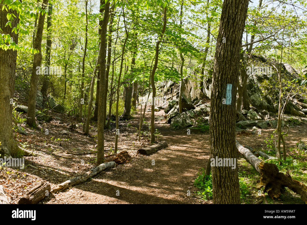 The Billy Goat C Trail is a hiking trail located in the United States ...