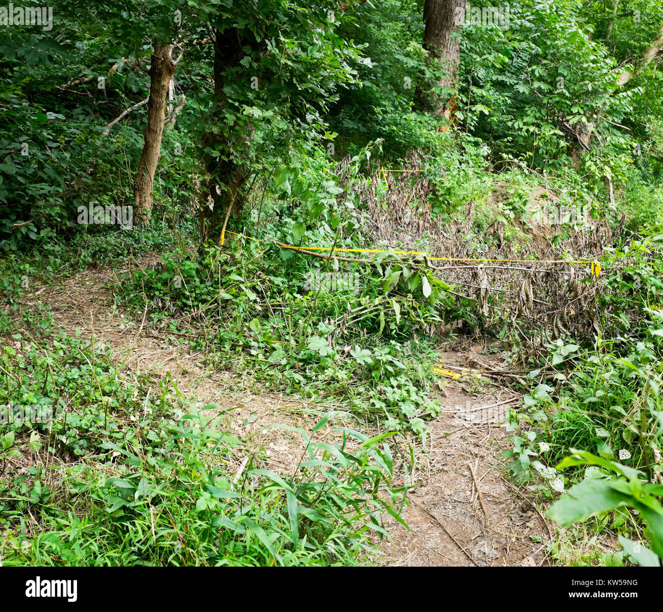 The Billy Goat C Washout is a heavy-duty, walk-behind outdoor cleaner ...