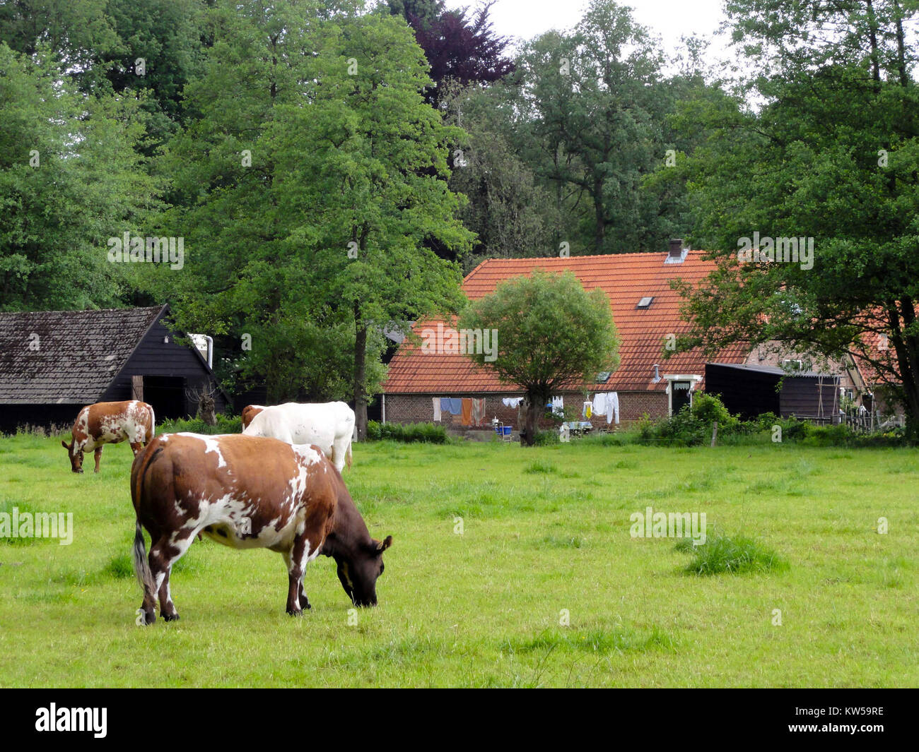The Boerderij Leuvenum is a farm located in the Netherlands, recognized ...