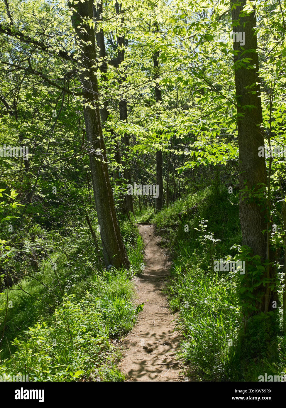 The Billy Goat B Trail is a popular hiking route in the United States ...