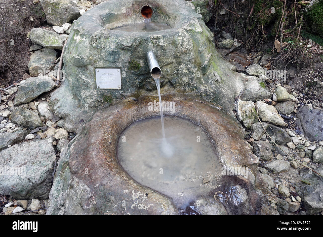 Spring with drinking water in the forest in Germany Stock Photo - Alamy