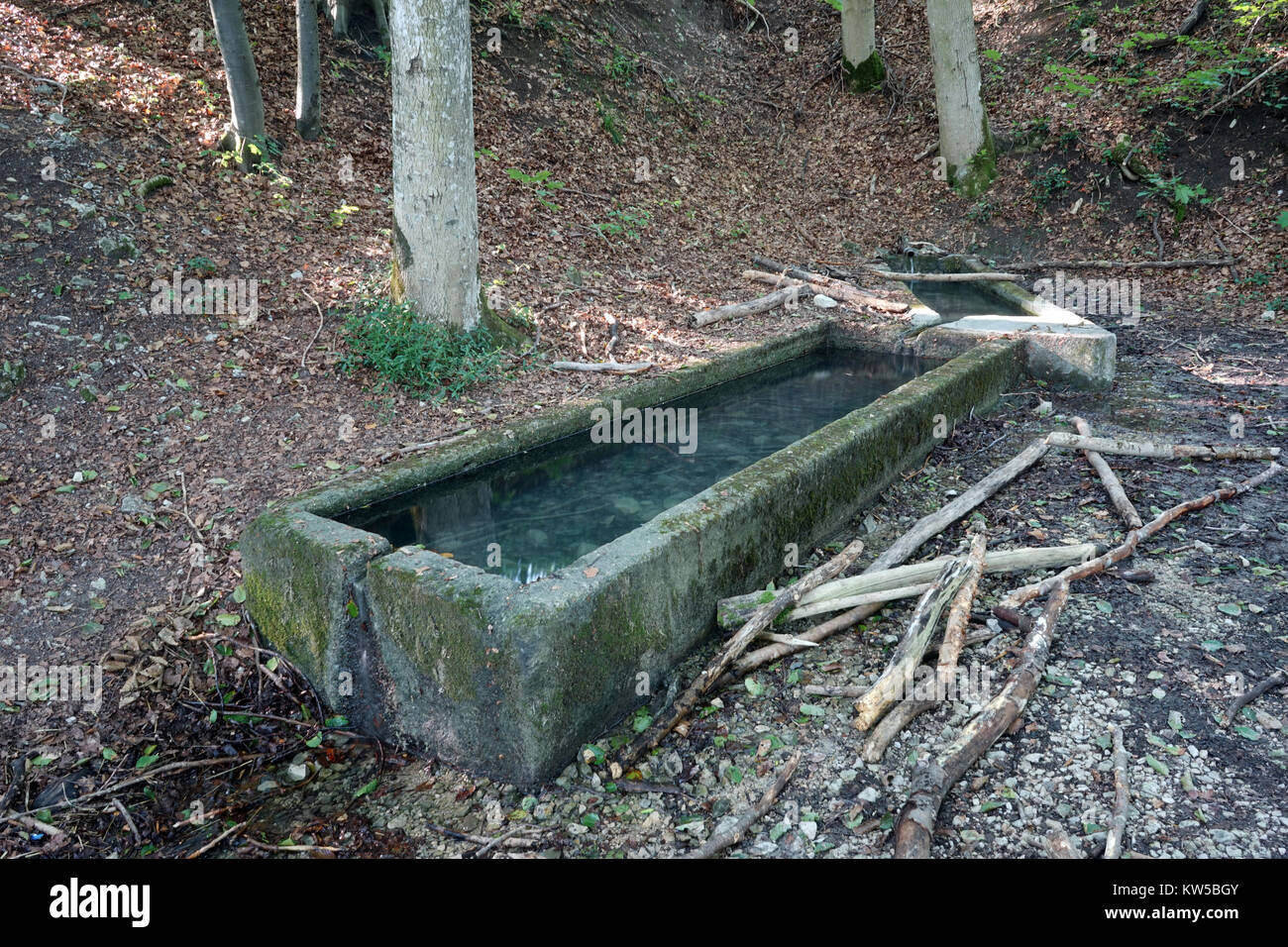 Concrete basin and spring water in thye forest in Swabia, Germany Stock ...