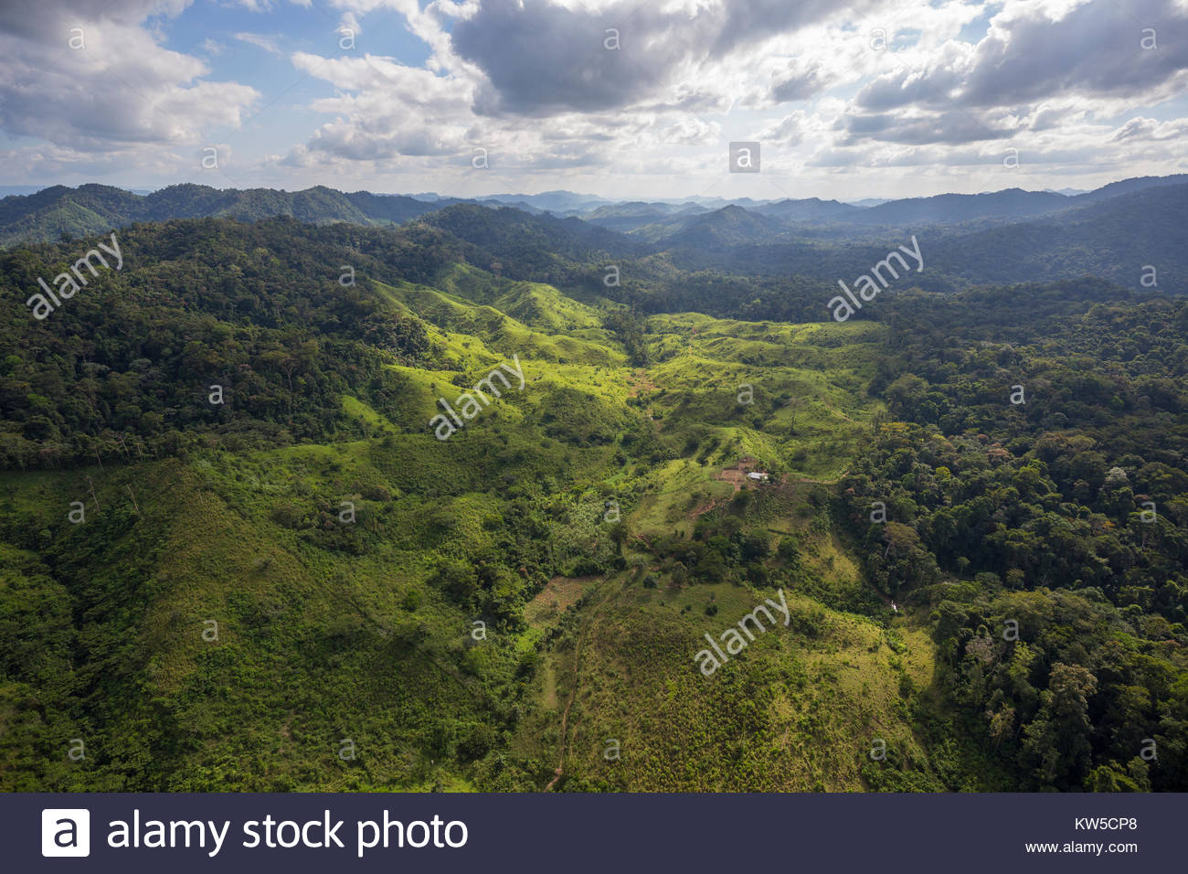 Mosquitia Rainforest Stock Photos & Mosquitia Rainforest Stock Images ...