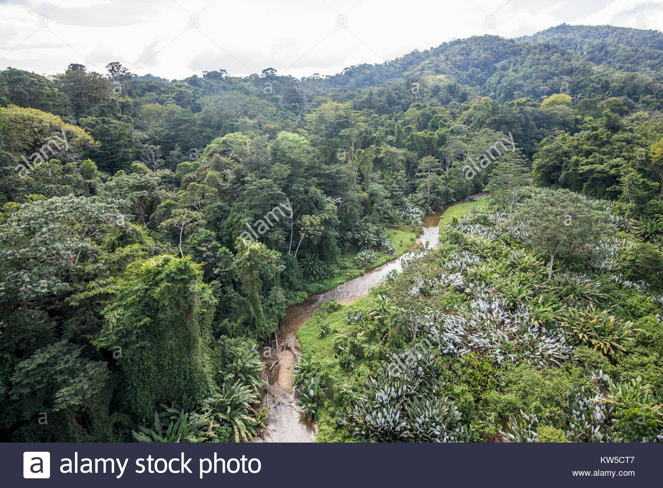 La Mosquitia Stock Photos & La Mosquitia Stock Images - Alamy