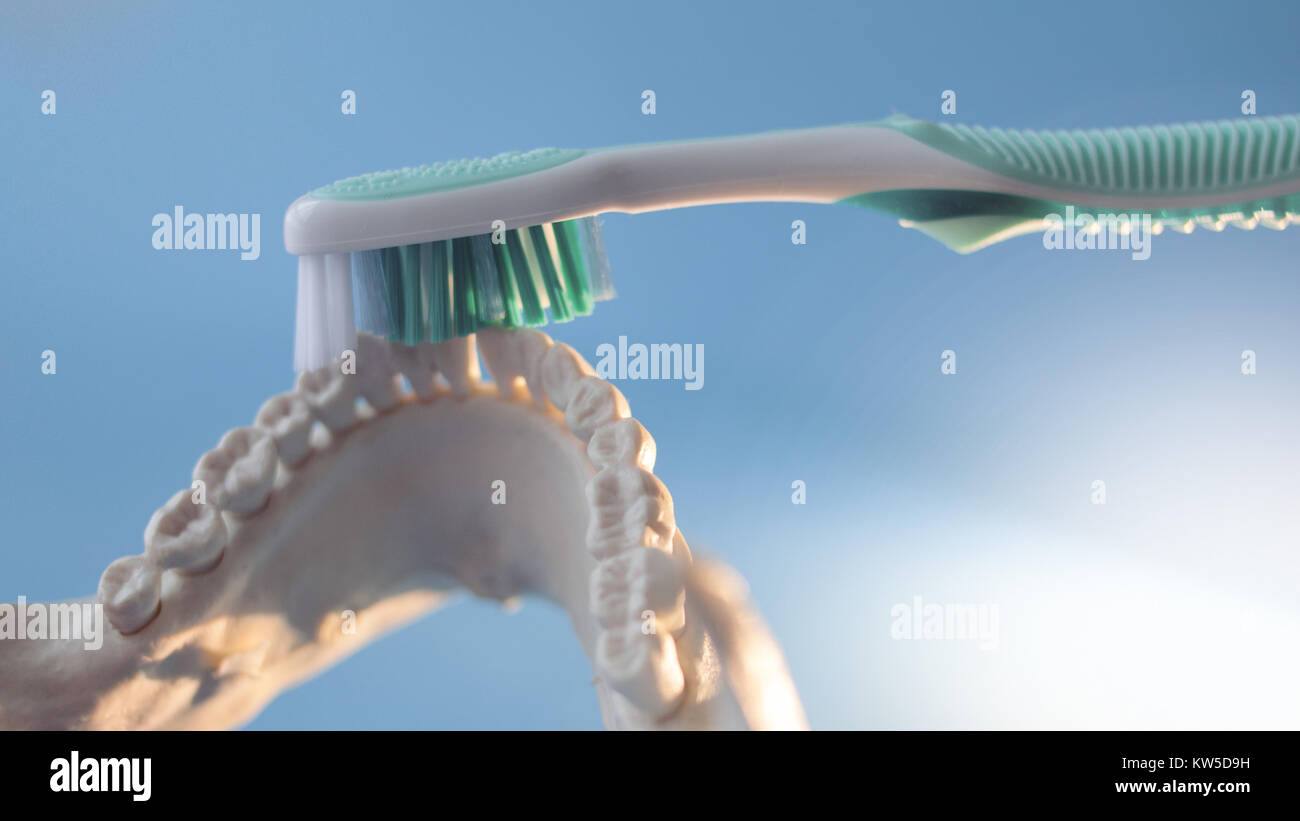 Cleaning of the teeth, modeling of the process. The concept of dental ...