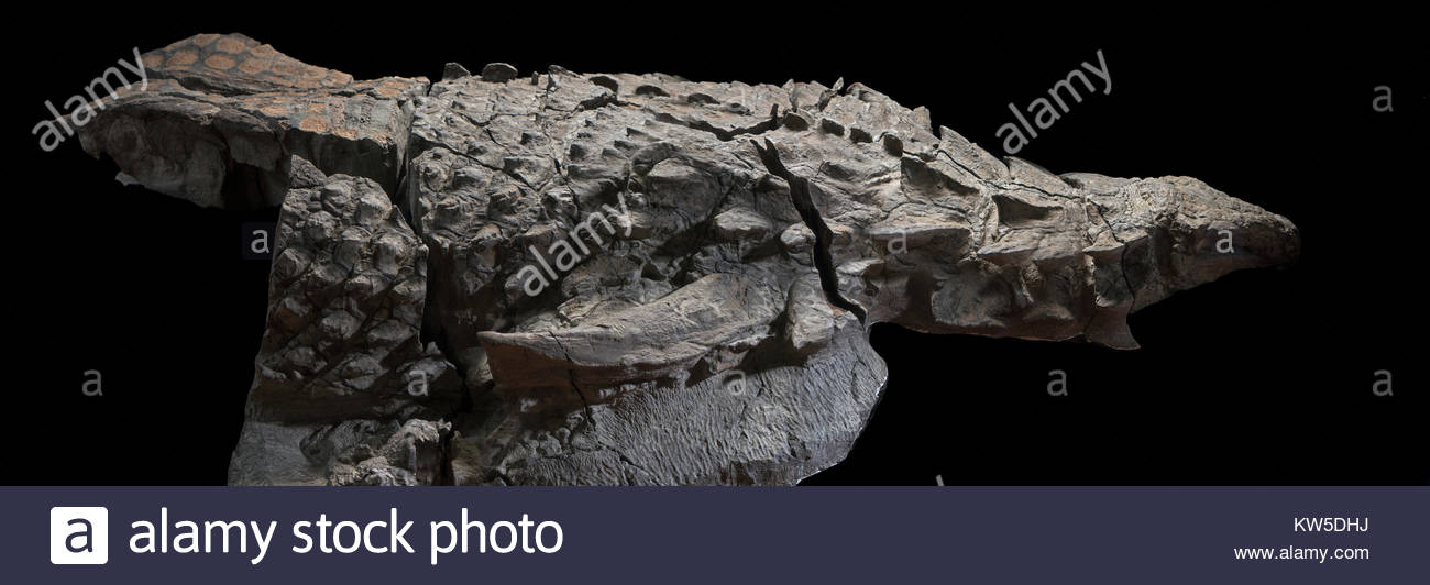 Extinction Dinosaurs Stock Photos & Extinction Dinosaurs Stock Images ...