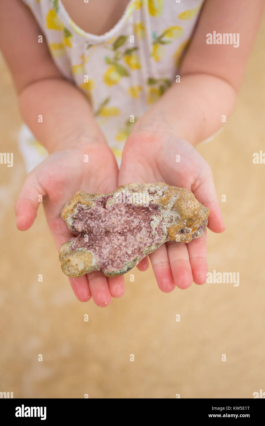Coral play hi-res stock photography and images - Alamy