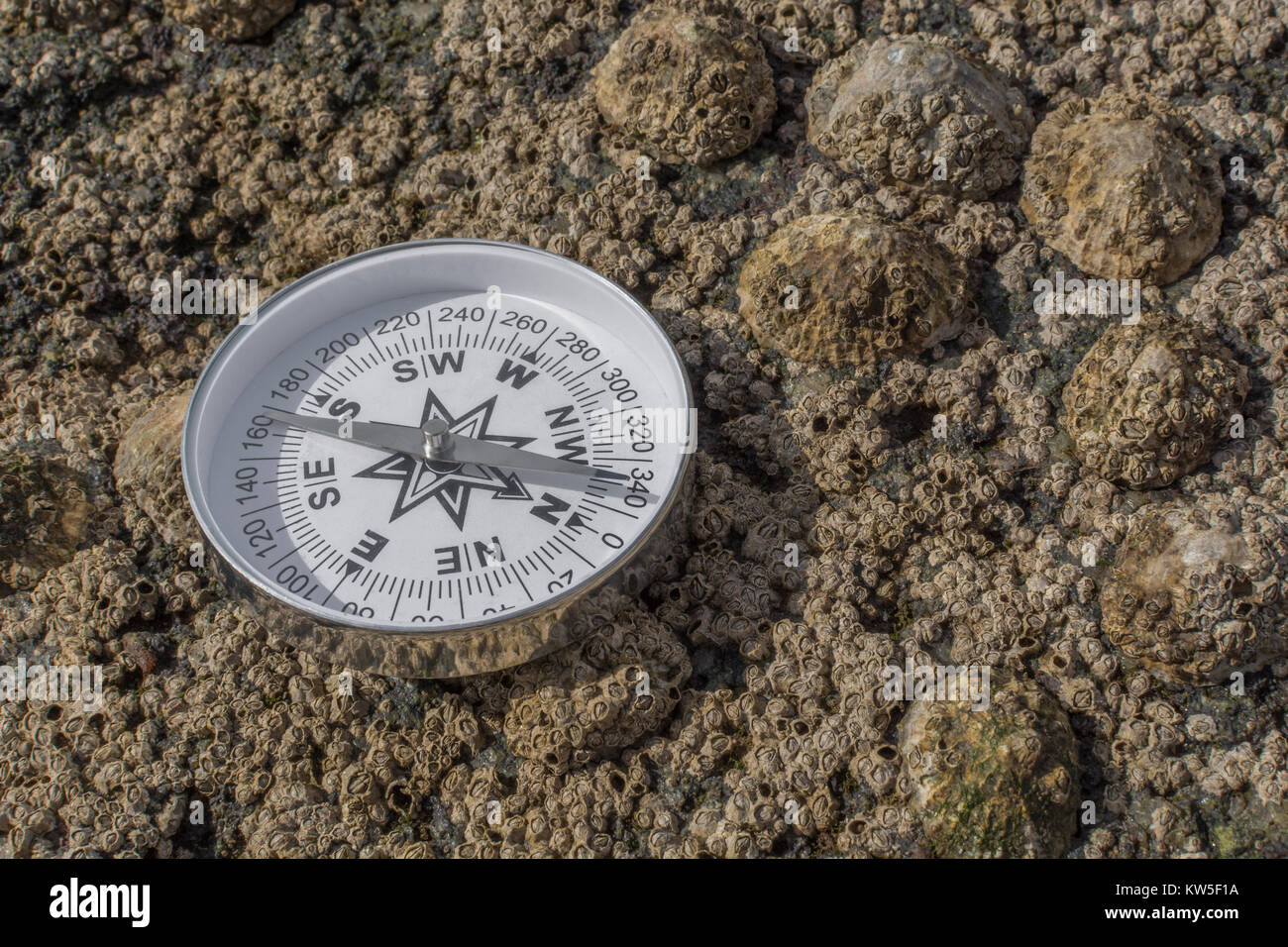 Compass north south - metaphor for business 'direction', navigation ...