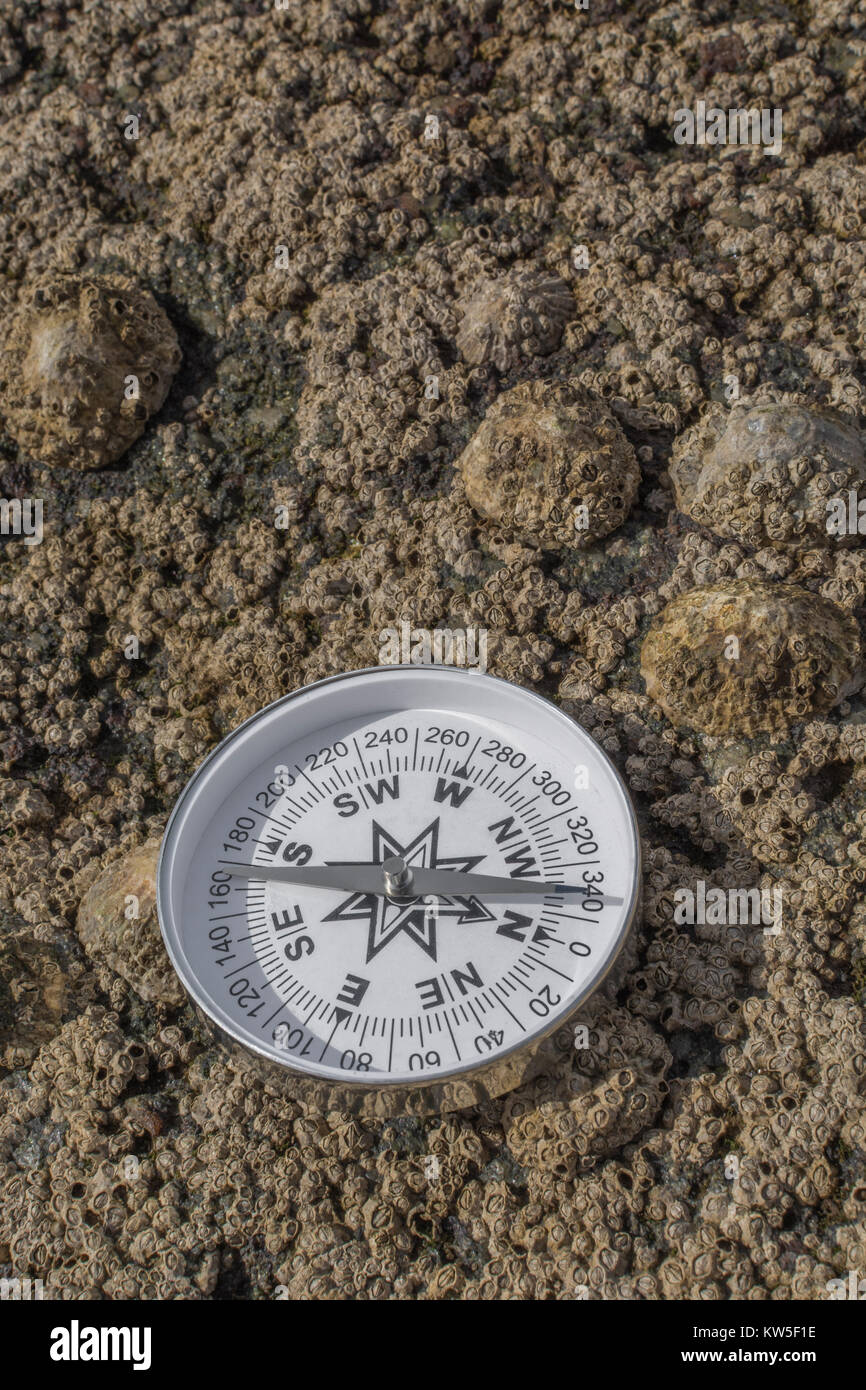 Compass north south. Metaphor business 'direction', navigation, moral ...