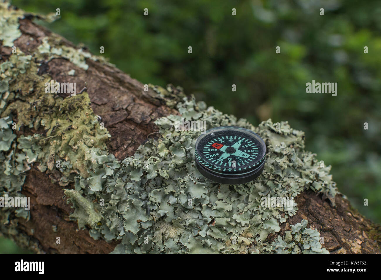 Button compass - metaphor for business 'direction', navigation, moral ...